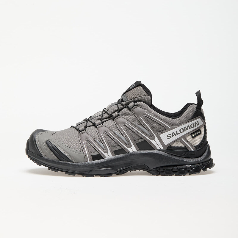 Salomon Advanced Salomon XA Pro 3D GTX Pewter/ Black/ Silver Cloud ...